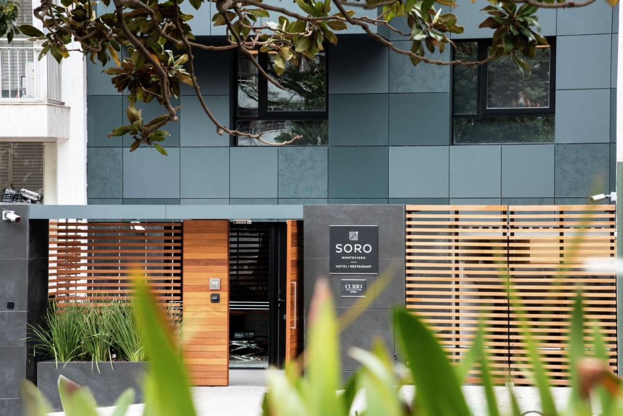 8 Best Hotels in Montevideo, Uruguay: Top Places to Stay - Stay to Wander