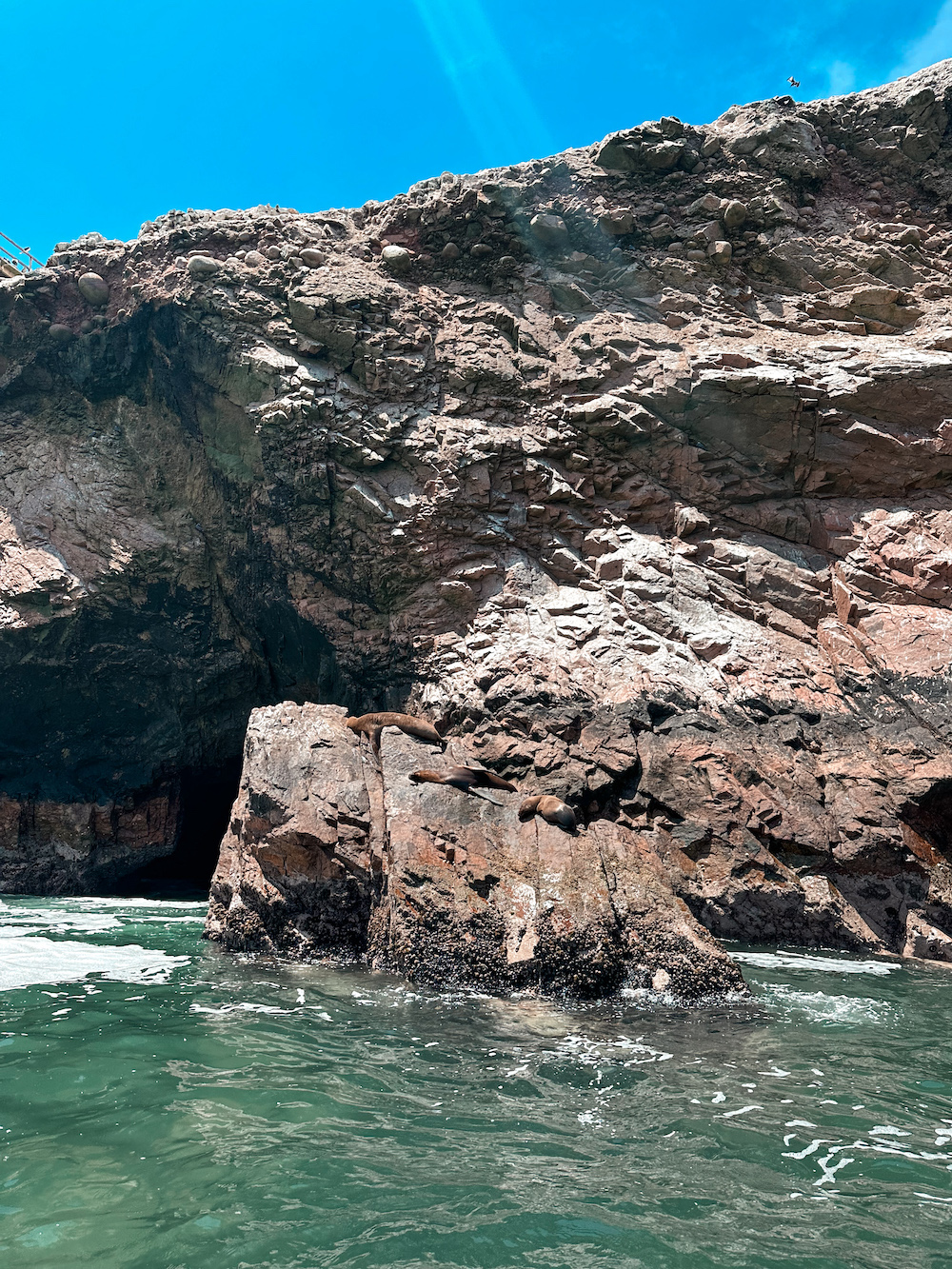 Paracas and Huacachina Day Trip from Lima, Peru - Stay to Wander